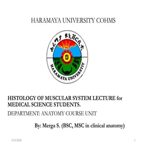 best muscle tissue.pptxghfght5fvyytht6gyg | PPT