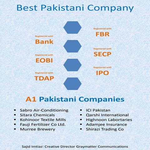 Best Pakistani Company | PDF
