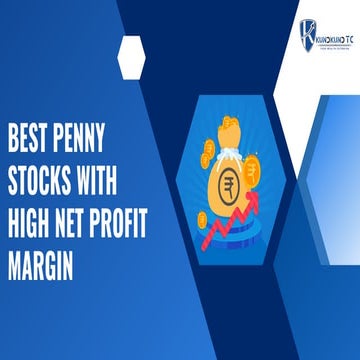 Best Penny Stocks With High Net Profit Margin.pdf