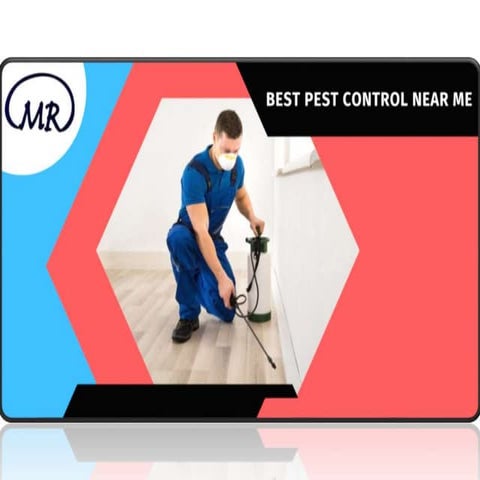 Best pest control near me.pptx