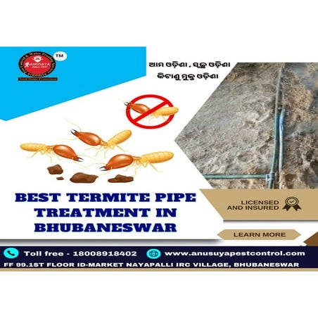 Best Pipe termite treatment in odisha.pdf