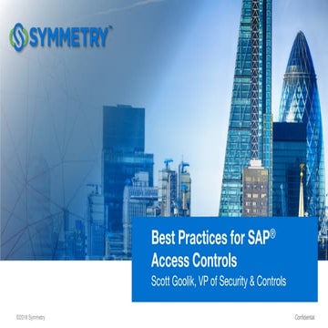 Best Practices for SAP Access Controls | Symmetry™ | PDF