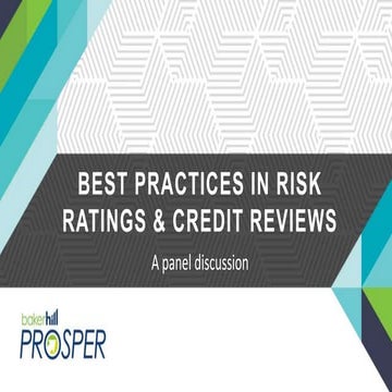 Best Practices in Risk Ratings & Credit Reviews | PPT