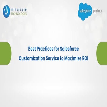 Best Practices for Salesforce Customization Service to Maximize ROI | PDF