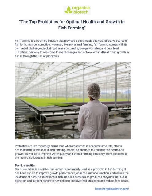 Probiotics For Vannamei Shrimp Culture and Shrimp Farming | PDF