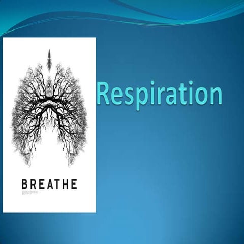 Cellular Respiration PowerPoint | PPT