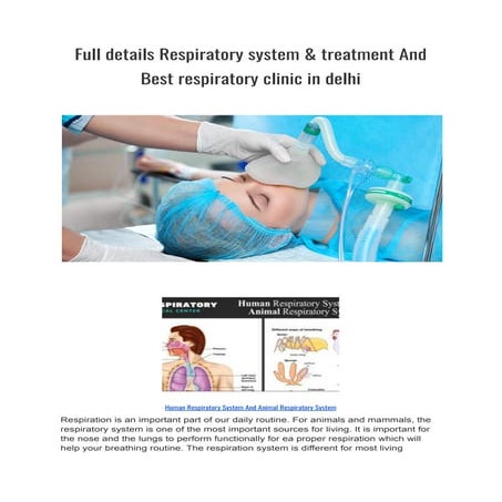 Respiratory system of Insects | PPTX