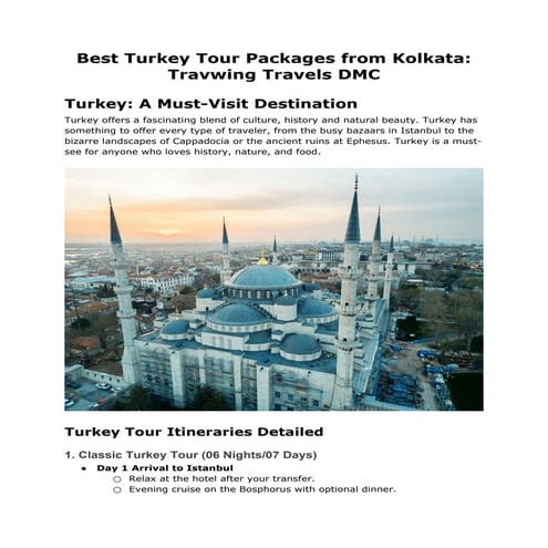 Best Turkey tour packages from Kolkata: Travwing Travels DMC | DOCX