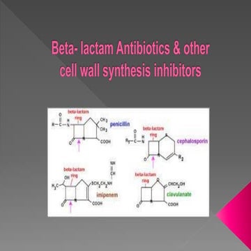Beta lactam antibiotics & other cell wall synthesis inhibitors | PPTX