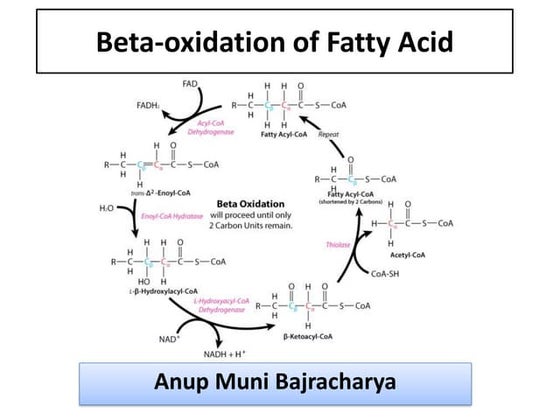 Acid fast staining | PDF | Chemistry | Science