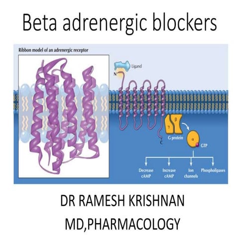 Betaadrenergicblockers 150412052808-conversion-gate01 | PPT