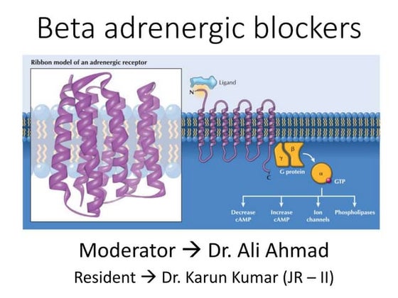 SAR and Synthesis of adrenergic blockers | PPT