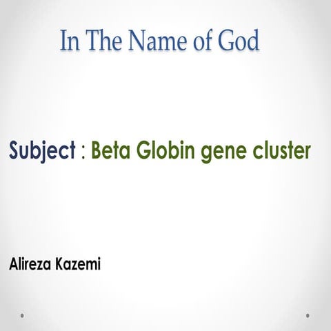 Beta Globin Gene Cluster | PPTX