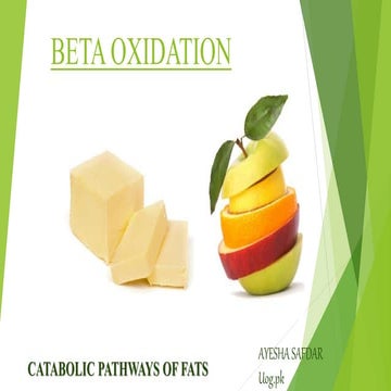 Beta_Oxidation_Process_With_Images_Complete_Presentation_For ...