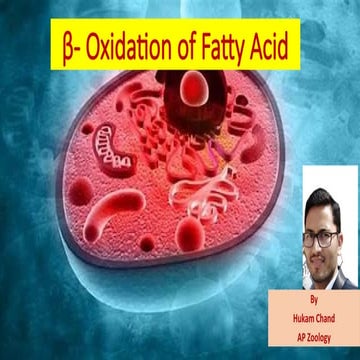 fatty acid beta oxidation biochemistry for BSC students | PPTX