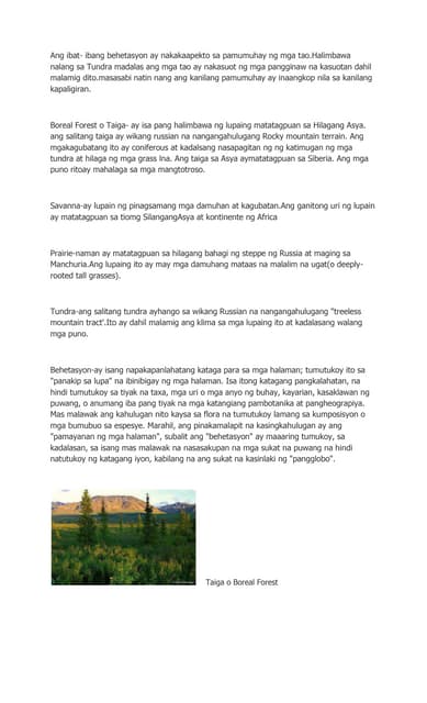 Vegetation cover ng asya ( behetasyon) | PPTX