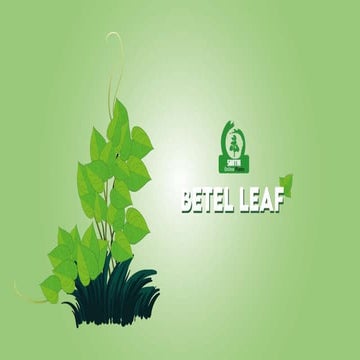 Betel Leaf.pptx