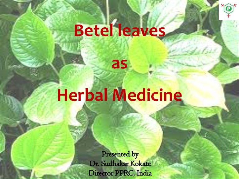 betel-leaves