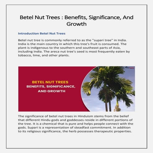 Betel Nut Trees.pdf
