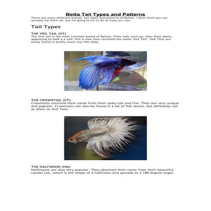 Betta tail types and patterns | DOC