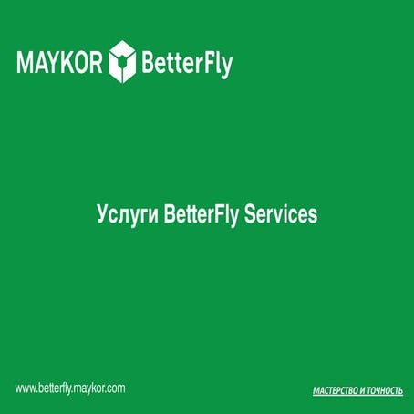 Better fly services общая презентация | PPT