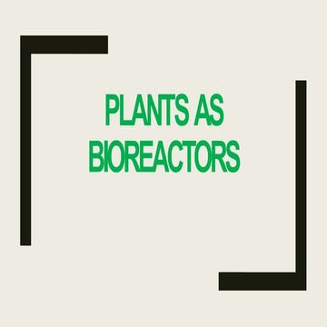 Better plantsasbioreactors-170225140248.pptx