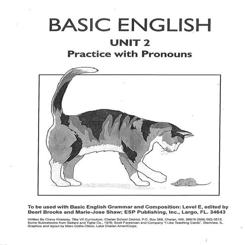 practice with pronouns | PDF