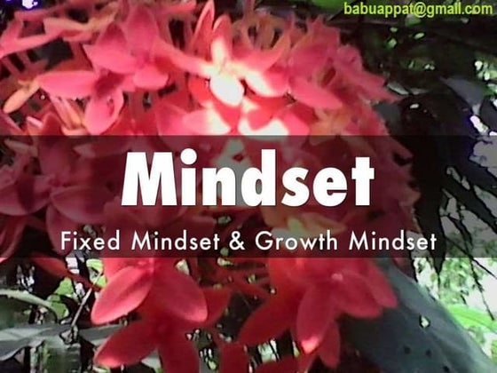 Cultivating the Growth Mindset in the Organisation | PPT