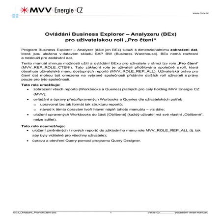 BEx Analyzer Manual (CZ) | PDF