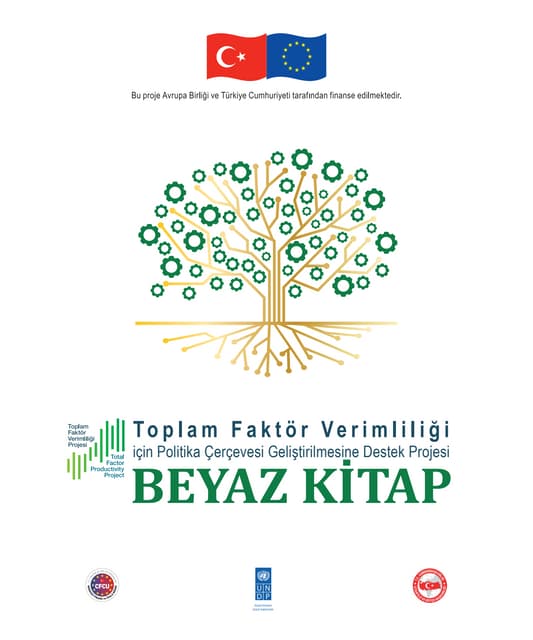Impact of Trendyol on Turkey’s Economy in 2021 | PDF