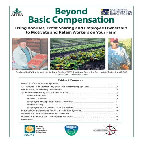 Beyond Basic Compensation | PDF