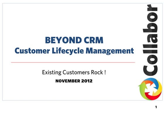 Customer Life Cycle Management | PDF