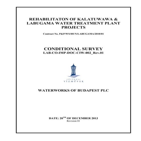 Conditional Survey Report Labugama | PDF