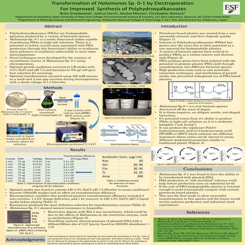 Spotlight poster | PDF