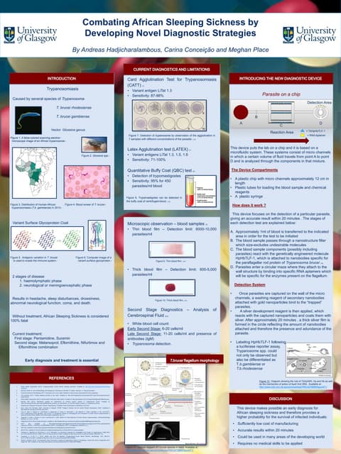Agglutination Pptx