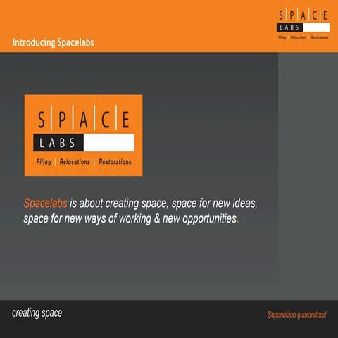 SPACELABS PROFILE | PDF