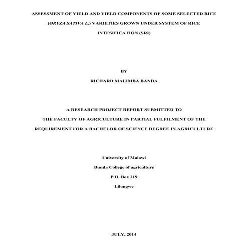 Rice Project-Richard | PDF