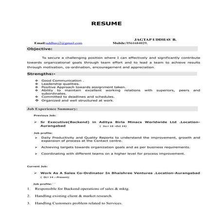 RESUME BV & MNCS | DOC