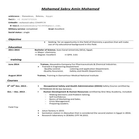 Mohamed Sabry Amin CV | PDF