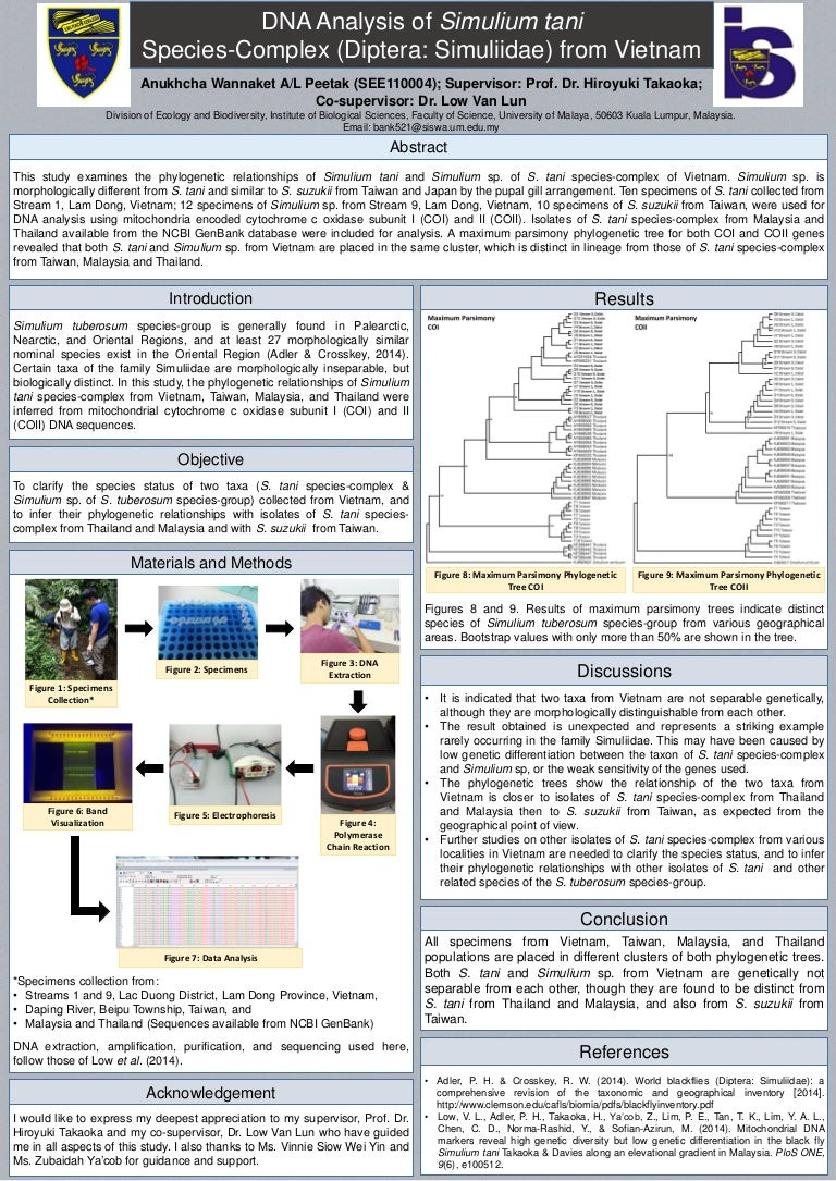 FYP Poster