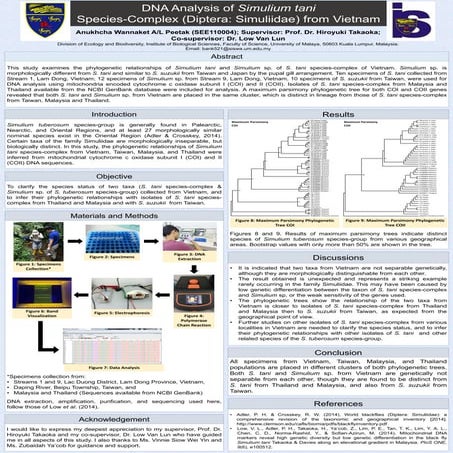 FYP Poster | PDF