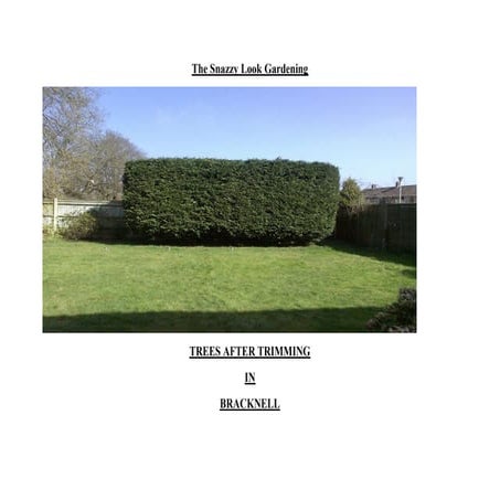The Snazzy Look Gardening 2 | PDF