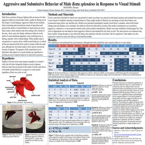 Betta Fish Poster (final) | PDF