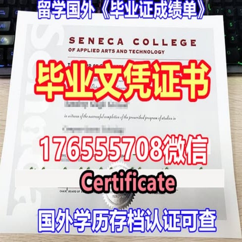 USYD毕业证 | PDF