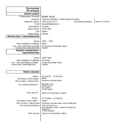CV - denis budak | PDF