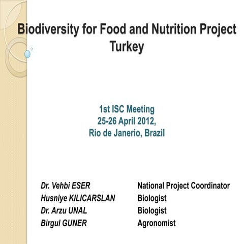BFN Project - Turkey component | PPT