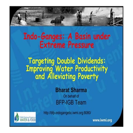 Indo-Ganges: A Basin under Extreme Pressure | PDF