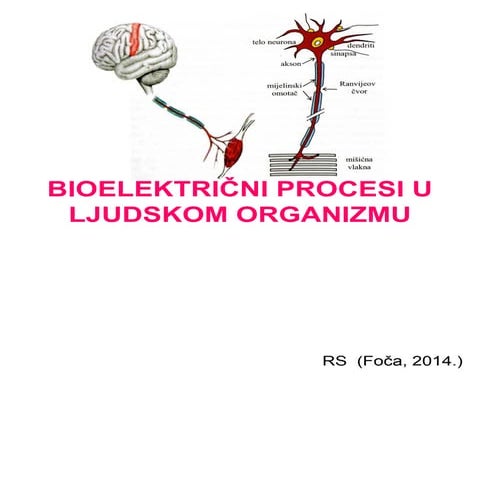 Bf p8 elektricni signali u ljudskom organizmu | PPT