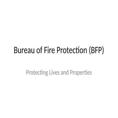BFP_Presjjjssjsjsjsjsjsjentation_V2.pptx