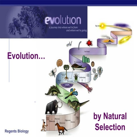 Bfs bio Evolution intro | PPT